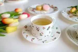 Twig New York Language Of Flowers Set Of Two Cups And Saucers