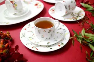 Twig New York Language Of Flowers Set Of Two Cups And Saucers