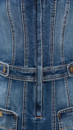Ramy Brook Karla Denim Mini Dress
