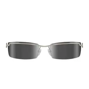 Revo Silver Tone Eyewear For Women