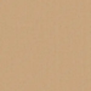 Max Mara Cotton Arianne Shirt - Beige