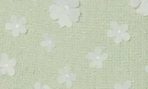 Astr The Label Janell Floral Appliqué Skort