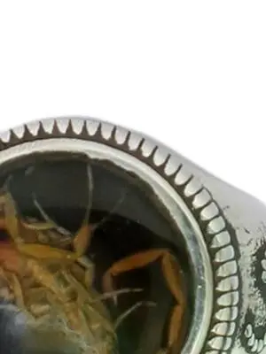 PALY Scorpio Rising Ring