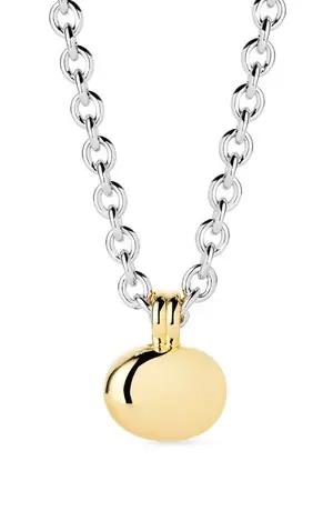 ANA LUISA Pebble Pendant Chain Necklace - Gold/silver