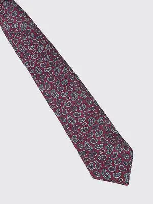 Etro Printed Neck Tie - Multicolor