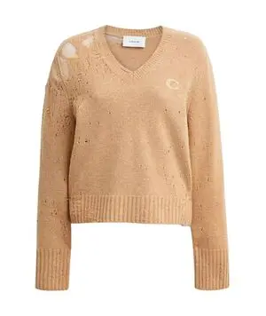 COACH Loved Long Sleeve V-neck Sweater