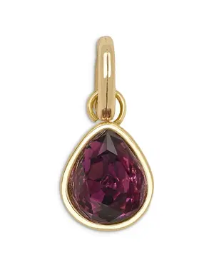 Ramy Brook Birthstone Imitation Charm - Amethyst