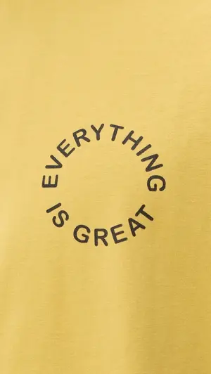 FAR AFIELD Everything Is Great T-shirt