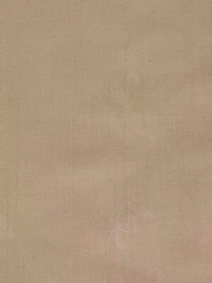 Max Mara Fringed Scarf - Neutrals