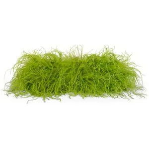 Jeffrey Campbell Feather Clutch - Green Combo