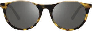 REVO LIFESTYLE Nolita Tortoiseshell Sunglasses - Graphite