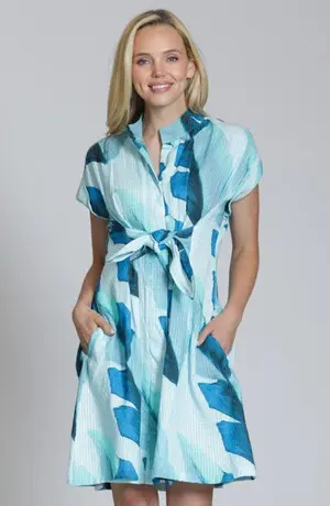 APNY Seersucker Shirtdress