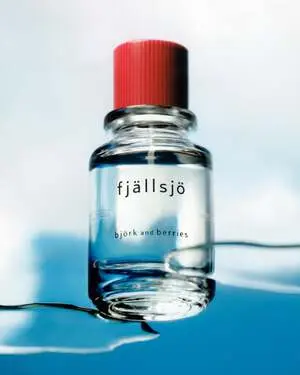BJORK AND BERRIES Eau De Parfum Fjällsj