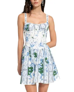 Agua Bendita Spring Ivy Mini Dress - Multi