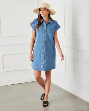 Karen Kane Cap Sleeve Shirtdress