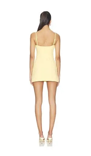 Devon Windsor Imani Mini Dress