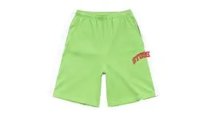 StÜssy Stripe Jersey Shorts - Kiwi