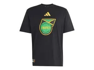 Adidas Graphic T-shirt