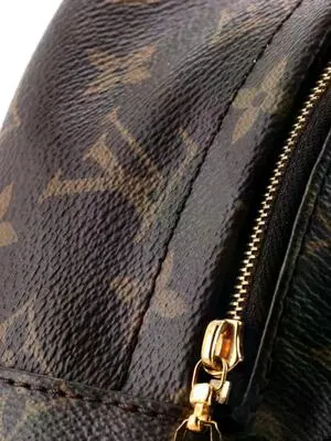 LOUIS VUITTON Palm Springs Monogram Canvas Mini Backpack - Brown