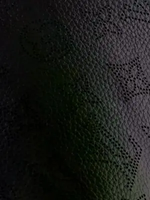 LOUIS VUITTON Bella Mahina Leather Tote Bag