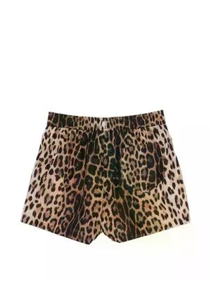 Moschino Leopard-print Swim Shorts