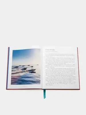 Assouline Riva Aquarama Book - Brown