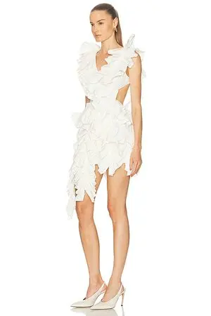AKNVAS Asymmetrical Ruffle Dress