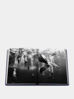 Assouline Ocean Wanderlust - Blue
