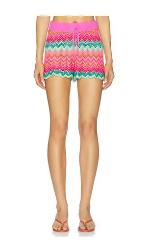 Beach Riot Balboa Knit Shorts