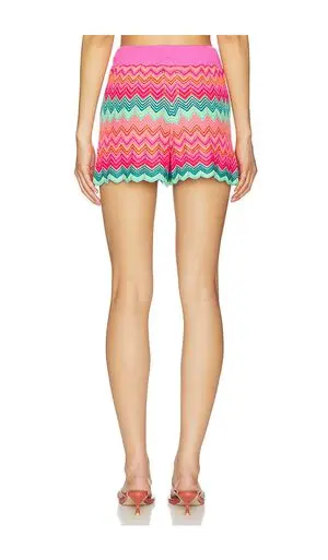 Beach Riot Balboa Knit Shorts