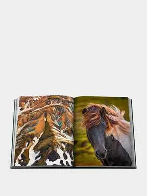 Assouline Iceland Epic Book - Green