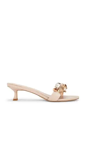 Lpa Sandals For Women