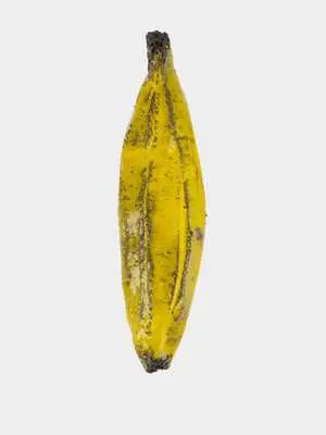 Studio Bongard Ceramic Banana Sculpture - Yellow