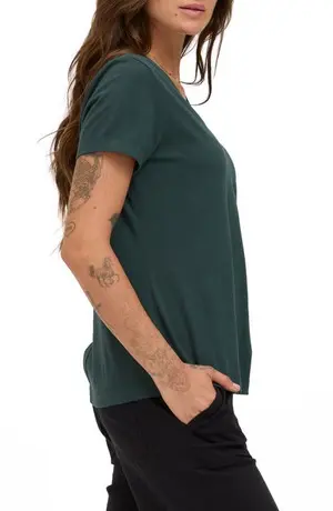 THREADS 4 THOUGHT Organic Cotton V-neck T-shirt - Alpine