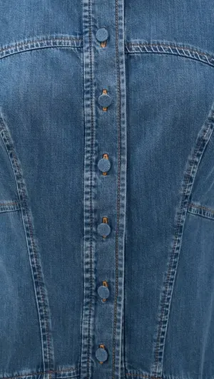 FRAME The Denim Day Dress