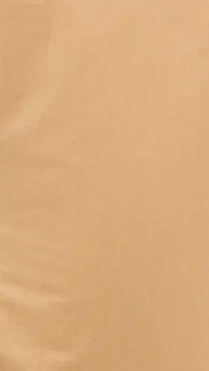 Xirena Bardot Dress - Twig