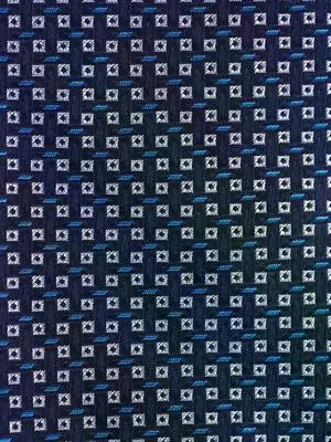 Canali Patterned Neck Tie - Blue