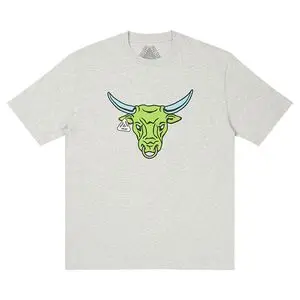 PALACE Nobul T-shirt