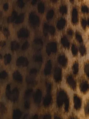 Sportmax Animal Print Jersey And Tulle Long Sleeve Top