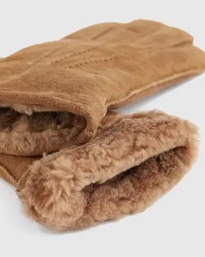 Quince Shearling Gloves