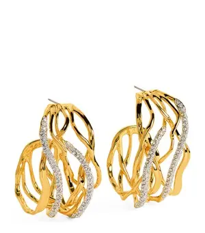 Alexis Bittar Metal Earrings