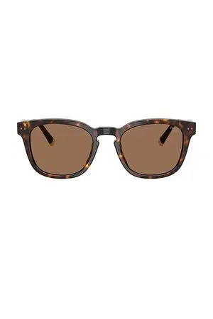 Polo Ralph Lauren Square Sunglasses - Brown