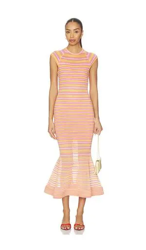 Simkhai Fit & Flare Day Dresses
