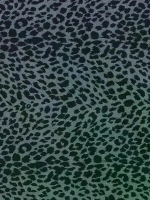 Aspesi Leopard-pattern Scarf