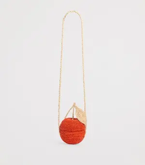 Bonpoint Raffia Cross-body Bag