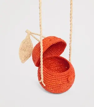 Bonpoint Raffia Cross-body Bag