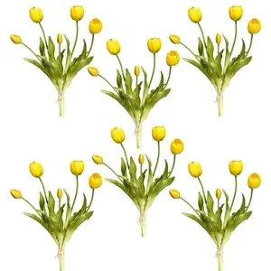 MARK ROBERTS Blooming Tulip Bunch, Set Of 6