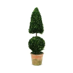 MARK ROBERTS Boxwood Potted Cone And Ball Topiary - No Color