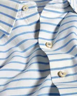 David Donahue Barre Stripe Shirt