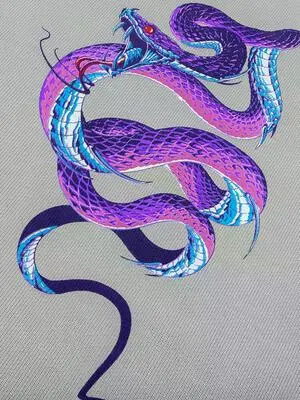 D-R-G-N Pit Viper Sweatshirt